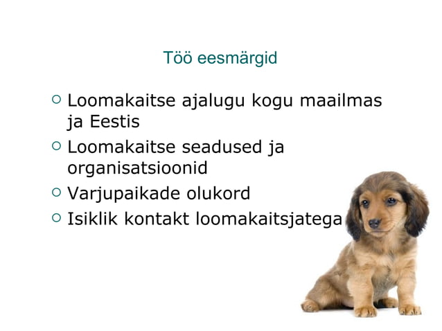 Kodutud Loomad | PPT