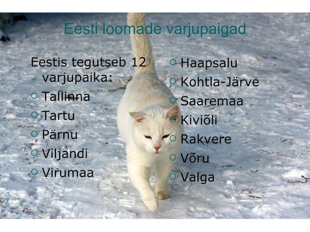 Kodutud Loomad | PPT