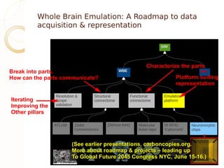 Toward Tractable AGI: Challenges for System Identification in Neural ...