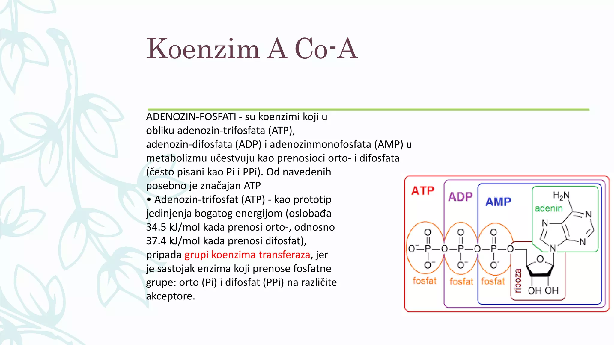 Koenzimi bioregulatori | PPTX