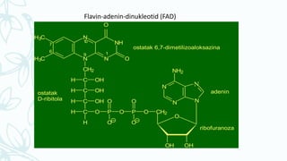 Koenzimi bioregulatori | PPTX