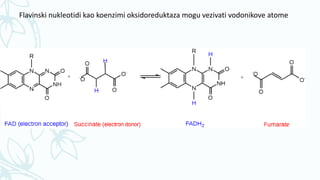 Koenzimi bioregulatori | PPTX