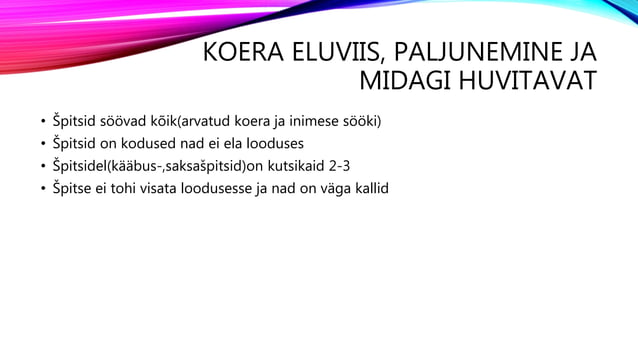 Koer špits | PPTX