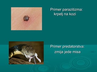 Koevolucija u ekoloskim sistemima | PPT