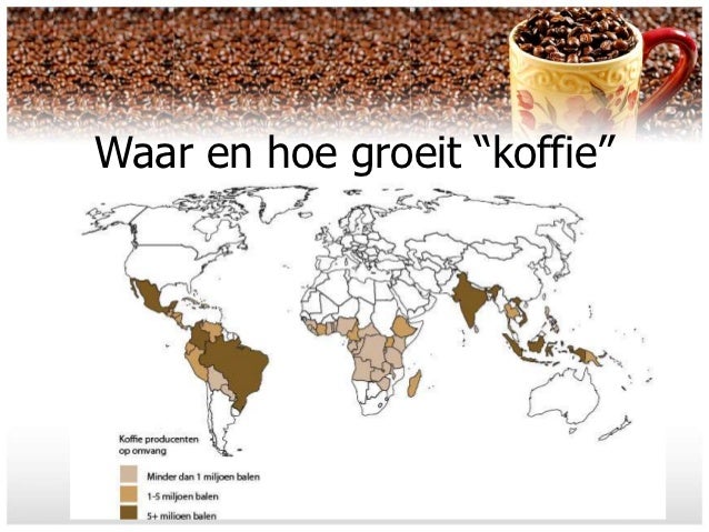 Koffie