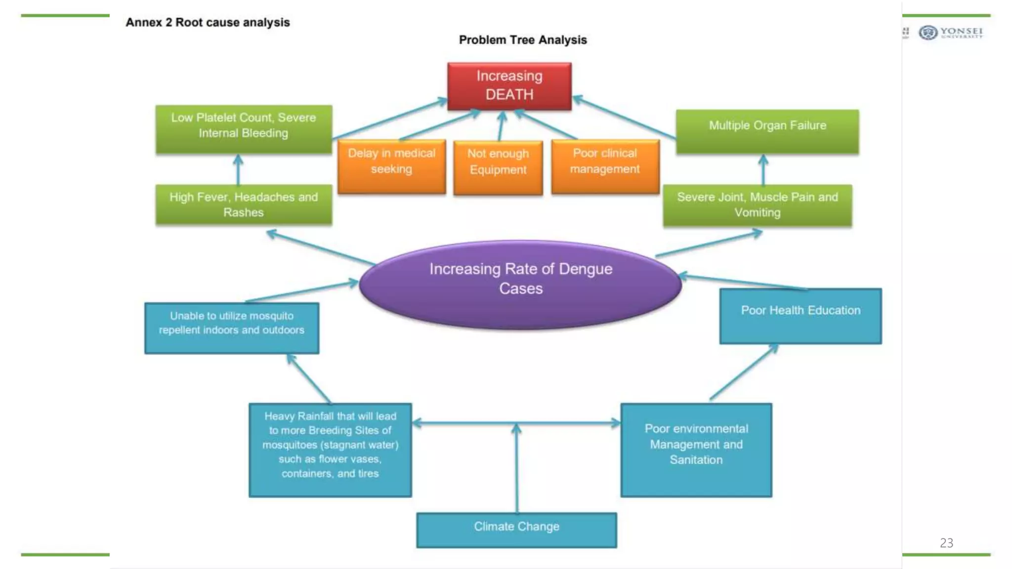 Action Plan on Dengue Death Prevention In Battambang, Cambodia (5Ys ...