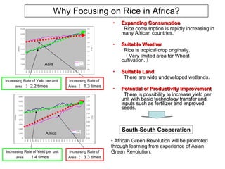 Development Cooperation Between Asia and Africa - Contribution toward a ...