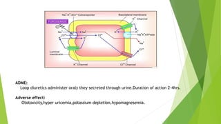 DIURETICS | PPT