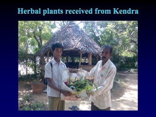 (Kohila)herbs and health | PPTX