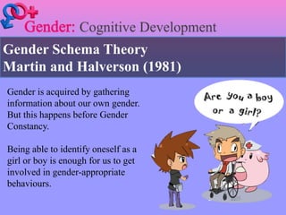 Psychological explanations of gender development | PPTX