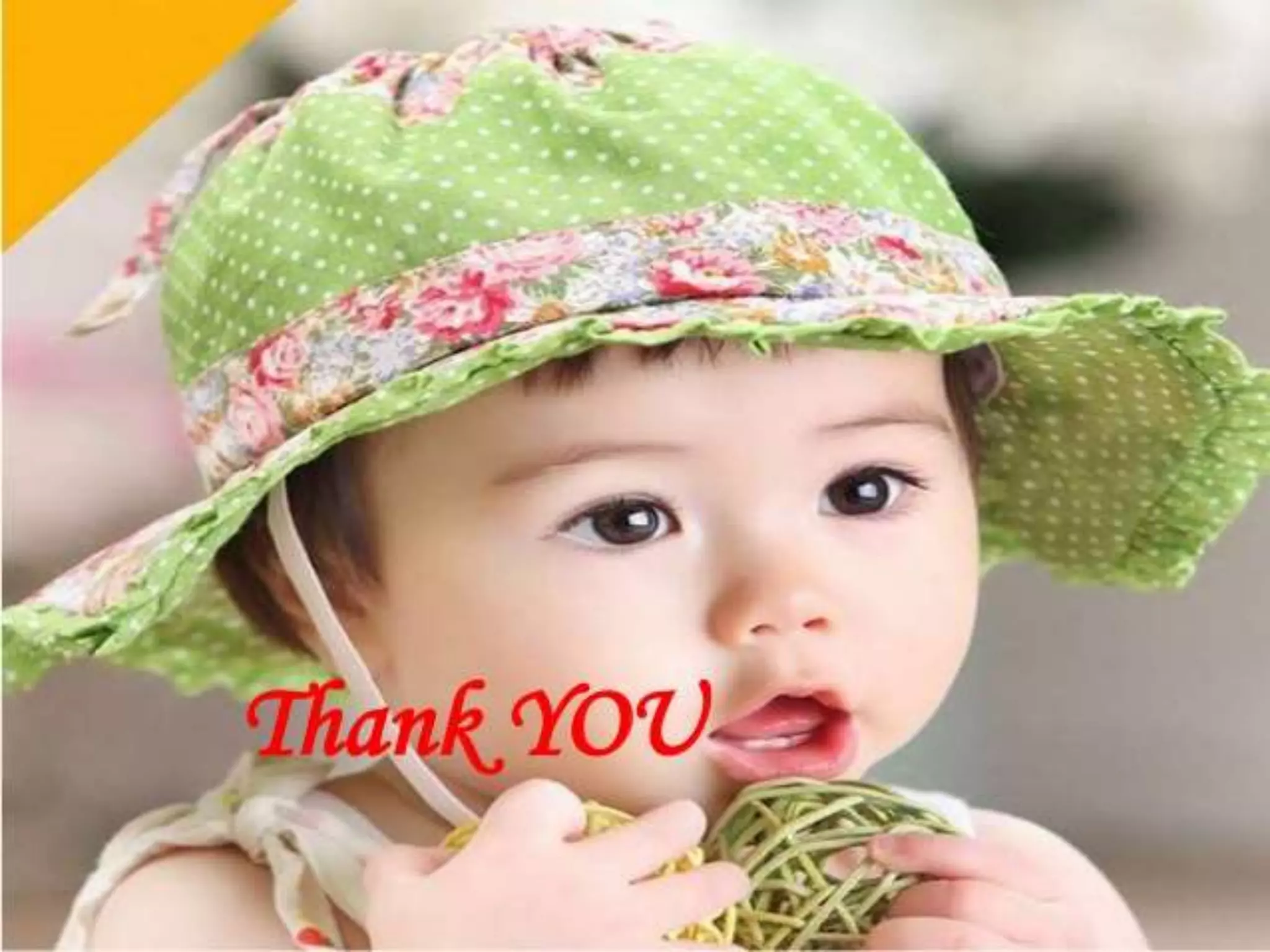 Kohler Insightful learning theory | PPTX