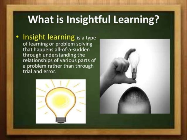 Kohler Insightful learning theory | PPTX | Zoos & Aquariums | Attractions