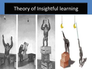 Kohler Insightful learning theory | PPT