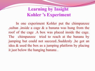 Kohlers exp1517 | PPTX