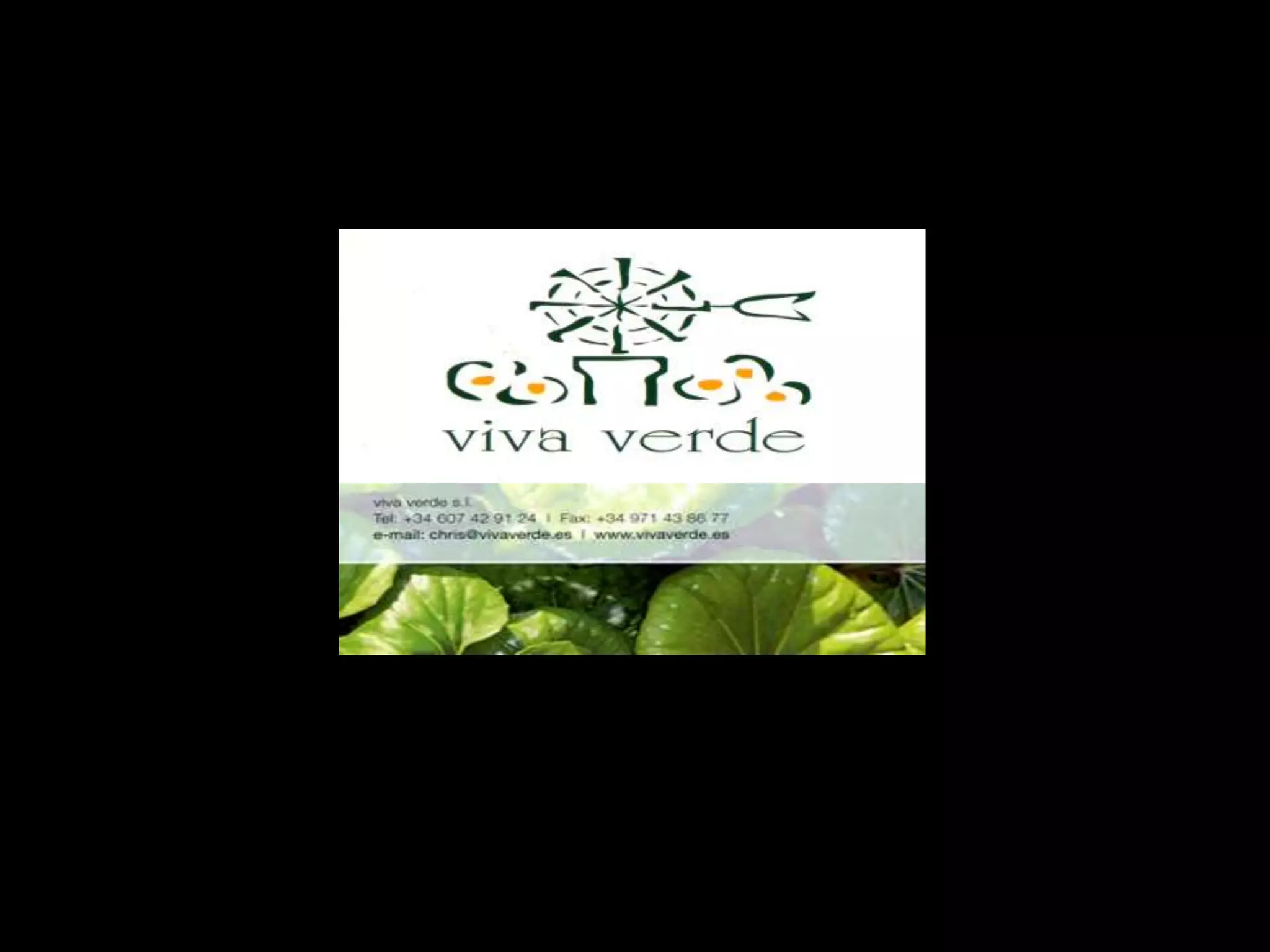 Kohlhauer Planta Classic Rockwool filled selfsupporting bi-facial GreenWall system | PPT