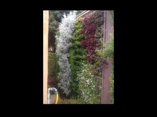 Kohlhauer Planta Classic Rockwool filled selfsupporting bi-facial GreenWall system | PPSX