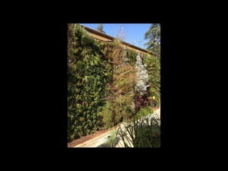 Kohlhauer Planta Classic Rockwool filled selfsupporting bi-facial GreenWall system | PPSX