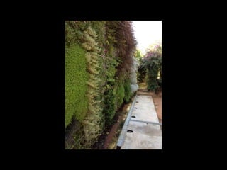 Kohlhauer Planta Classic Rockwool filled selfsupporting bi-facial GreenWall system | PPSX