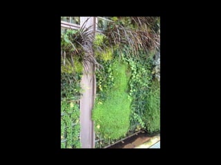 Kohlhauer Planta Classic Rockwool filled selfsupporting bi-facial GreenWall system | PPSX