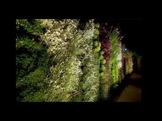 Kohlhauer Planta Classic Rockwool filled selfsupporting bi-facial GreenWall system | PPSX