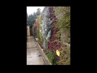 Kohlhauer Planta Classic Rockwool filled selfsupporting bi-facial GreenWall system | PPSX