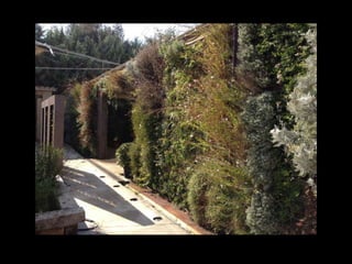 Kohlhauer Planta Classic Rockwool filled selfsupporting bi-facial GreenWall system | PPSX