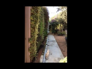 Kohlhauer Planta Classic Rockwool filled selfsupporting bi-facial GreenWall system | PPSX