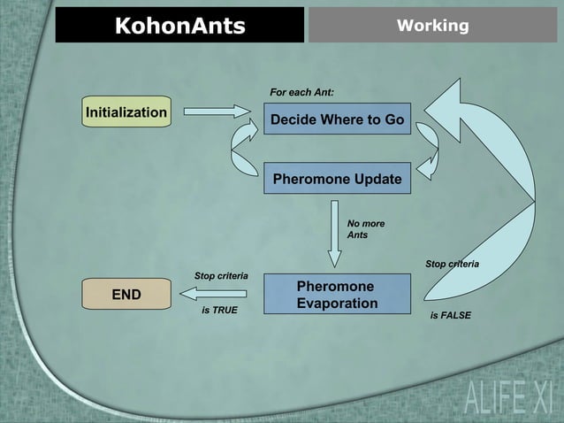 KohonAnts: A Self-Organizing Ant Algorithm for Clustering and Pattern Classification | PPT