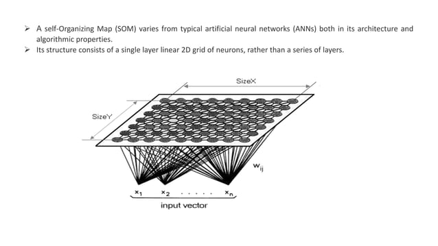 Kohonen Self Organizing Map,Kohonen Self Organizing Map | PPTX | Science