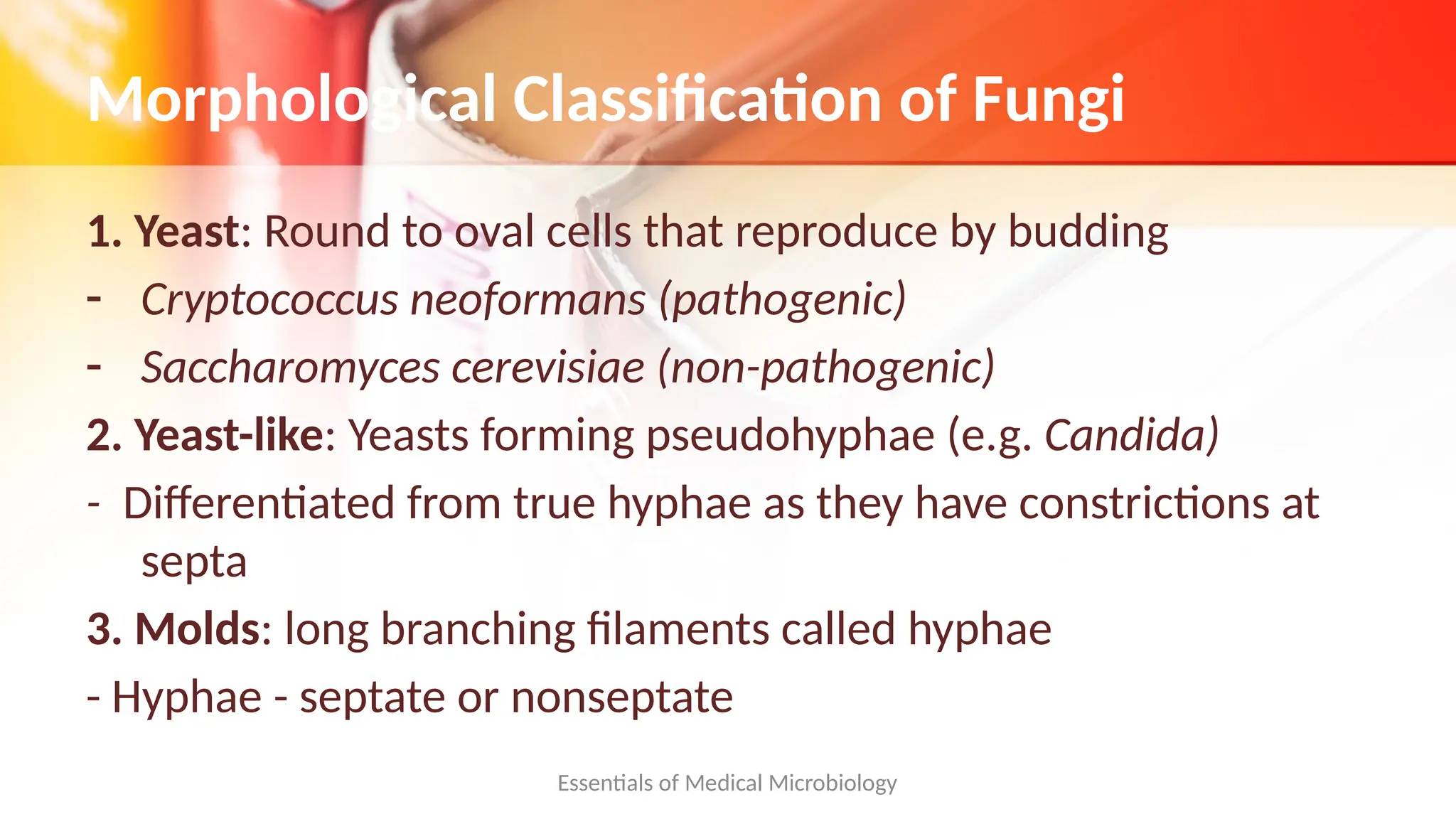 KoH Prepration, CLASSIFICATION OF FUNGAL DISEASES | PPTX