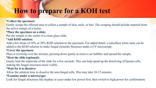 KoH Prepration, CLASSIFICATION OF FUNGAL DISEASES | PPTX