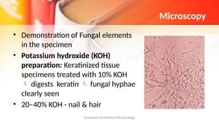 KoH Prepration, CLASSIFICATION OF FUNGAL DISEASES | PPTX