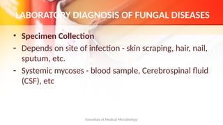 KoH Prepration, CLASSIFICATION OF FUNGAL DISEASES | PPTX