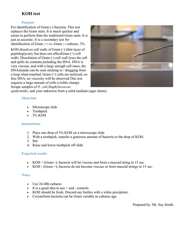 KOH test | DOCX | Chemistry | Science