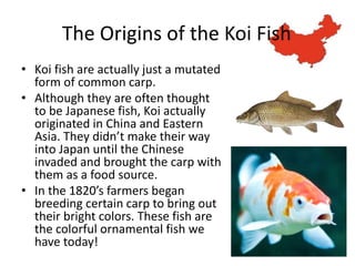 Koi Fish in Asian Art | PPTX