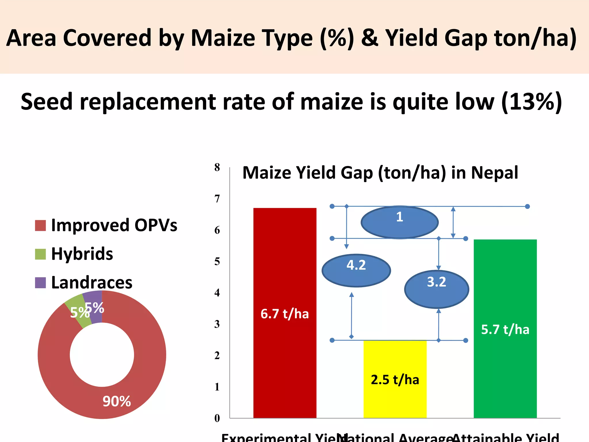 Heat Stress Resilient Maize Hybrids for Terai Region of Nepal | PPT