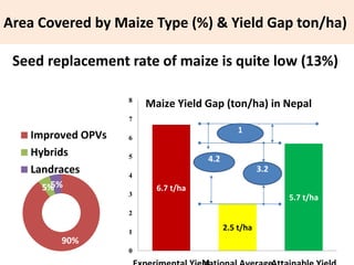 Heat Stress Resilient Maize Hybrids for Terai Region of Nepal | PPTX