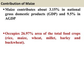 Heat Stress Resilient Maize Hybrids for Terai Region of Nepal | PPT