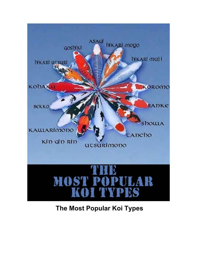 Koi Types | PPT