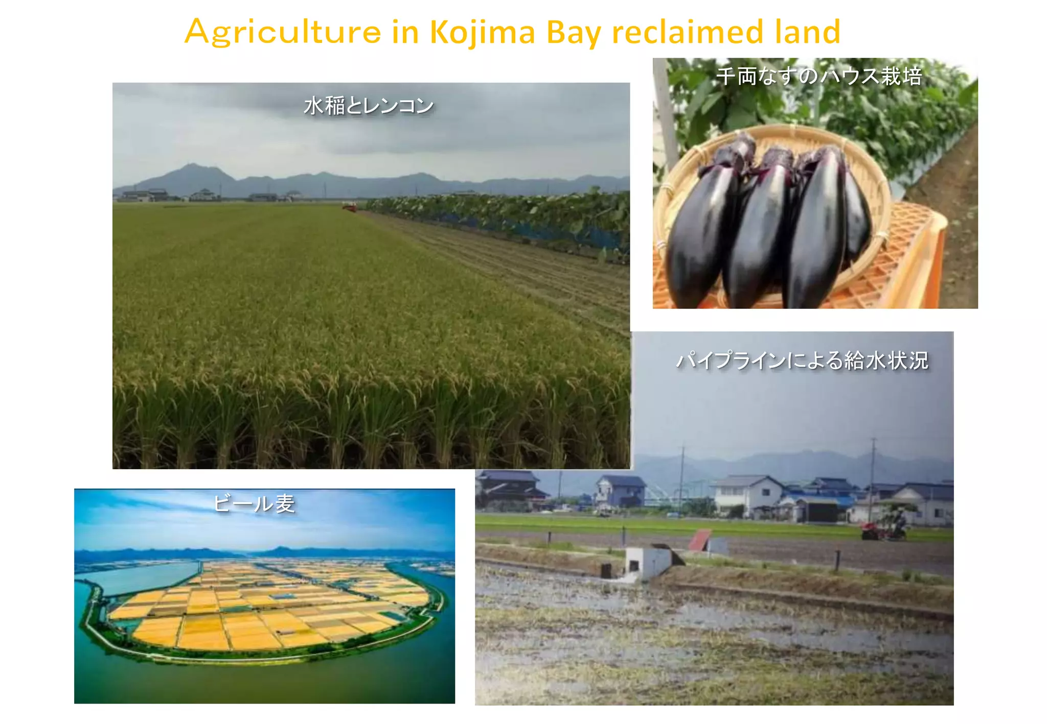 Kojima Bay Reclaimed Land and Closing Dike | PPT