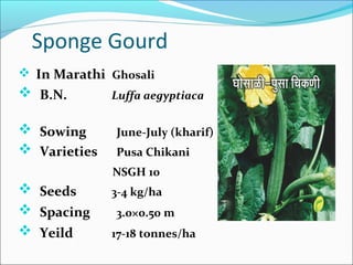 Kokan vegetables | PPT