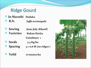 Kokan vegetables | PPT