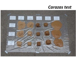 Experiential Learning in Architecture Education | PPT