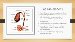 Batu Empedu presentasi, definisi dan tatalaksana.pptx