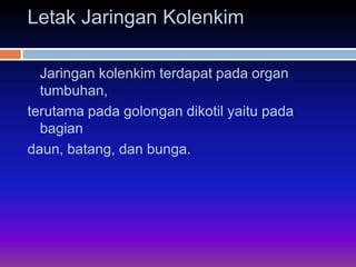Kolenkim | PPT