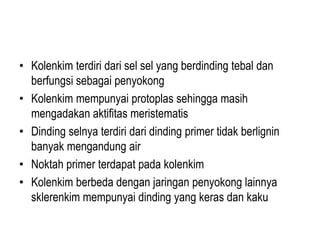 MATERI TENTANG BAGIAN KOLENKIM TUMBUHAN.pptx