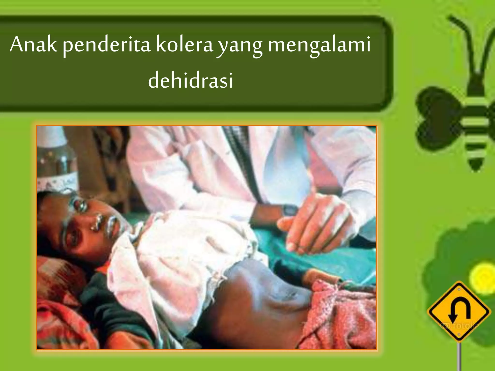 KOLERA.pptx