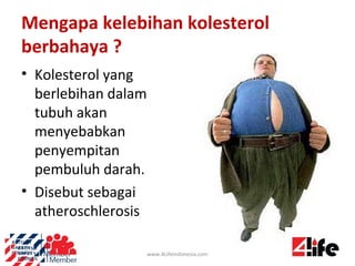 Kolesterol | PPT