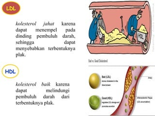 KOLESTEROL | PPT