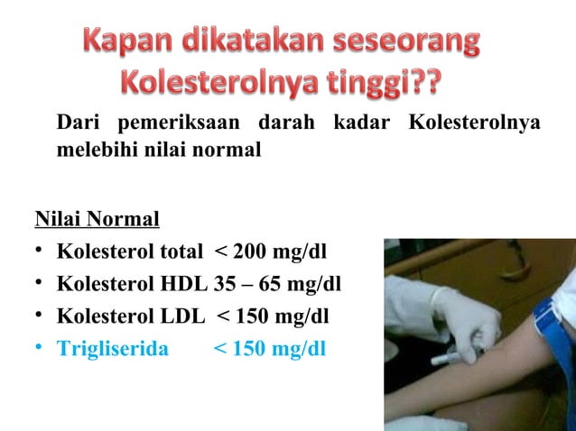 KOLESTEROL | PPT
